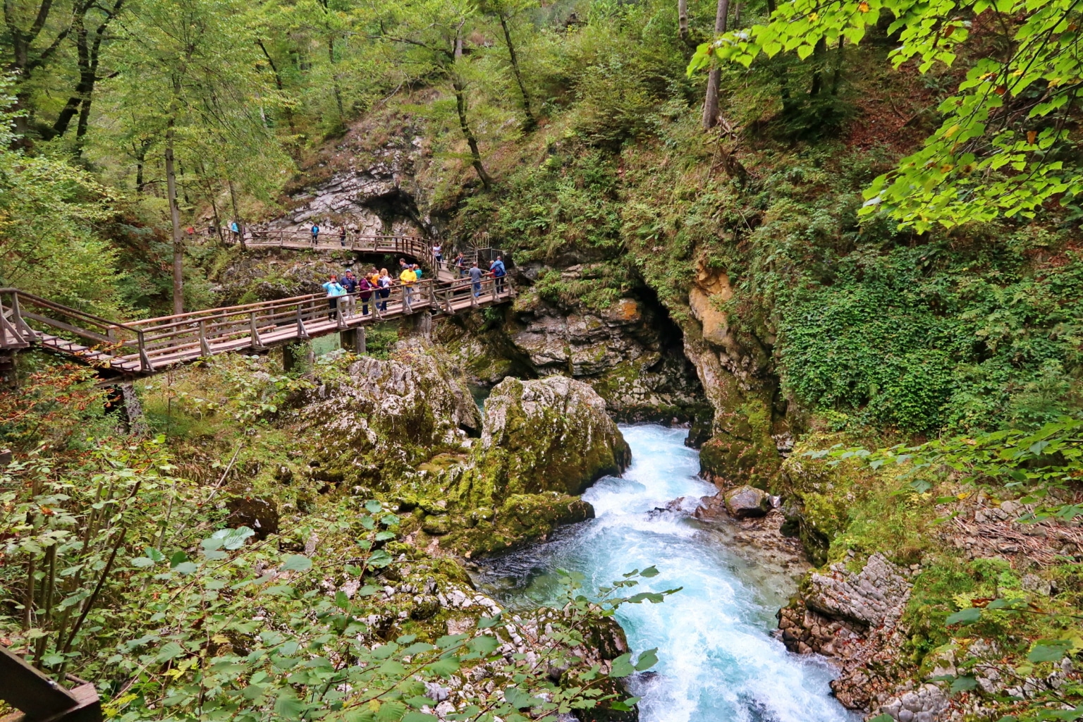 Visite des gorges de Vintgar en Slovénie : guide complet et conseils ...